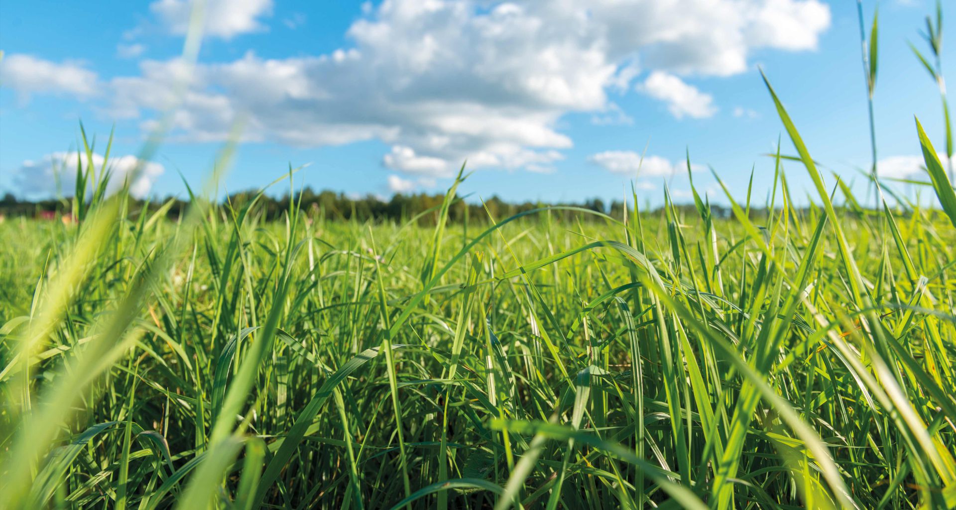 Brehop GmbH Kraftfutter | Landhandel | Brennstoffe