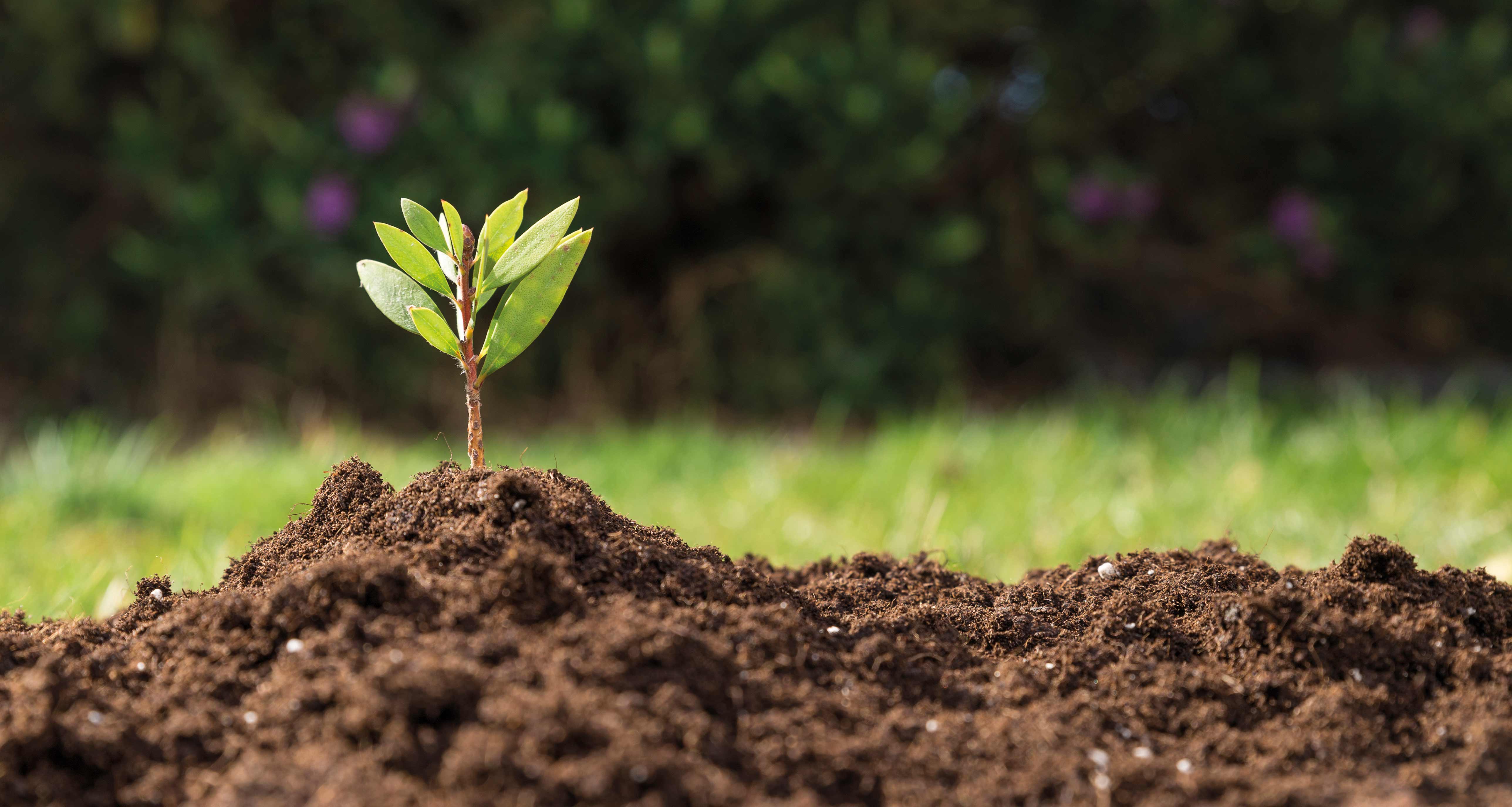 Brehop GmbH Kraftfutter | Landhandel | Brennstoffe